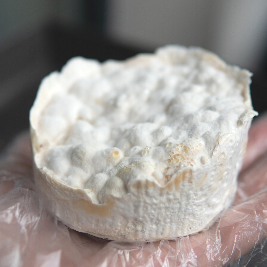 About - Myco Superfoods